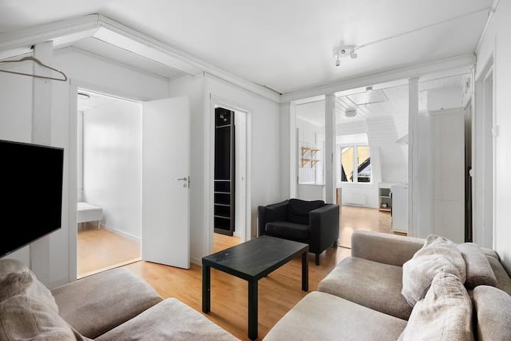 Koselig Og Meget Sentralt Leilighet Med 4 Soverom - Oslo