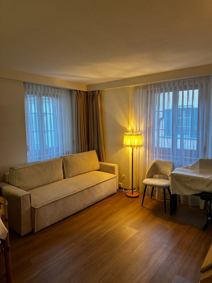 Charming Old Town Suite - Chur