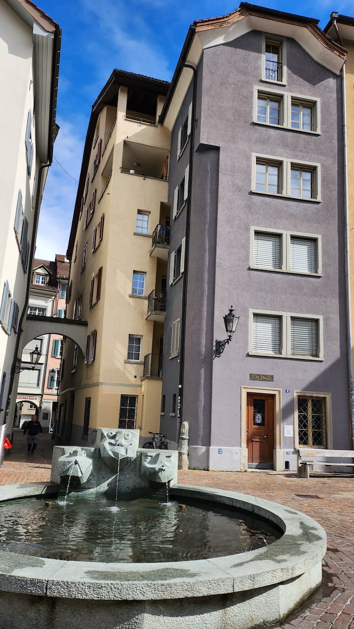 Charming Old Town Suite - Chur