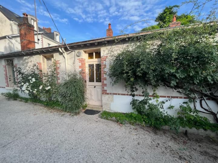 12 Maison Aux Fleurs Centre Ville - Blois