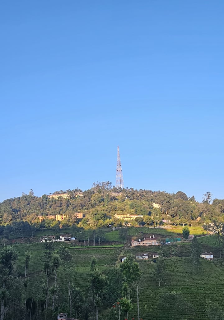 Foggy Villa - Mettupalayam