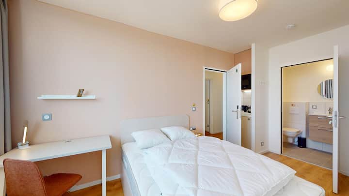 Vue Sur Le Rhin - Wifi & Co-working807 - Weil am Rhein