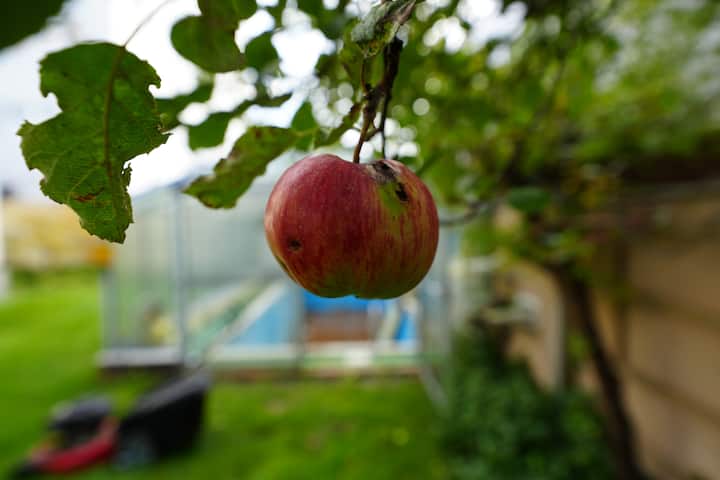 Puchheim Comfort Apartment - Puchheim