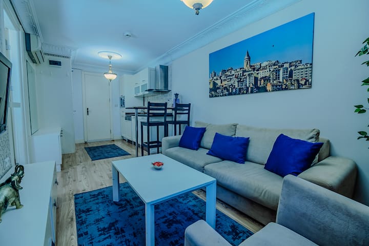 1+1 Apartment In Heart Of İStanbul - Cihangir
