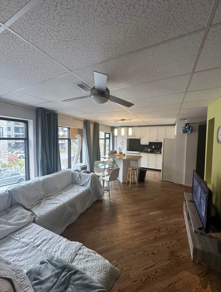 Loft - Cosmo Urban Vibes - Saguenay