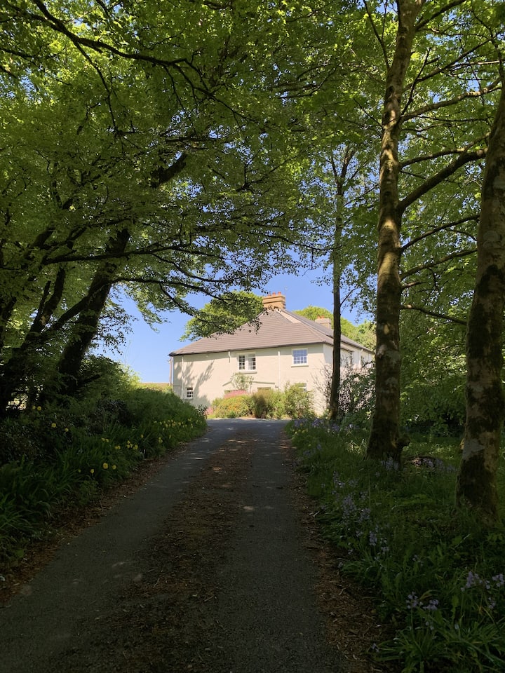 Delightful Dartmoor Apartment - Dartmoor Forest