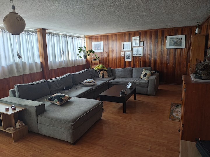 Spacious 3br Coyoacán Oasis: Fast Wifi, Parking - Ciudad de México