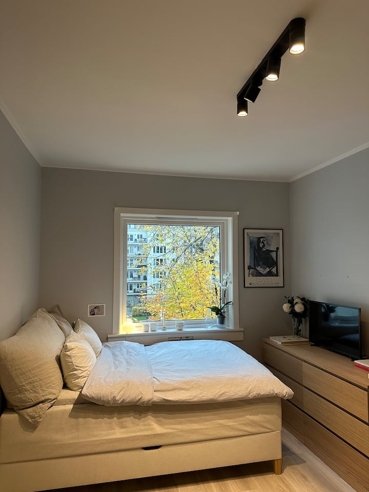 Koselig Og Sentral Studioleilighet På Vika/frogner - Oslo
