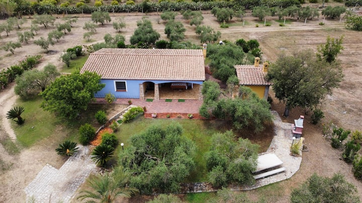 Villa Singola A Girasole - Santa Maria Navarrese