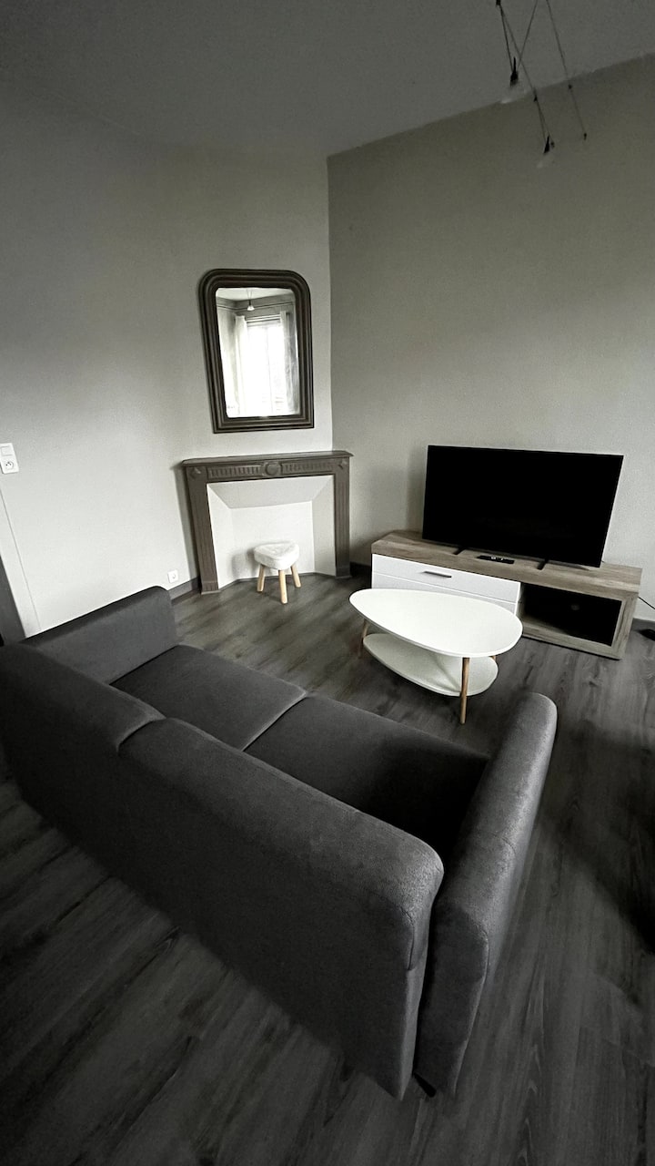 T3 Cosy Au Cœur D’albi : Tout à Pied - Albi