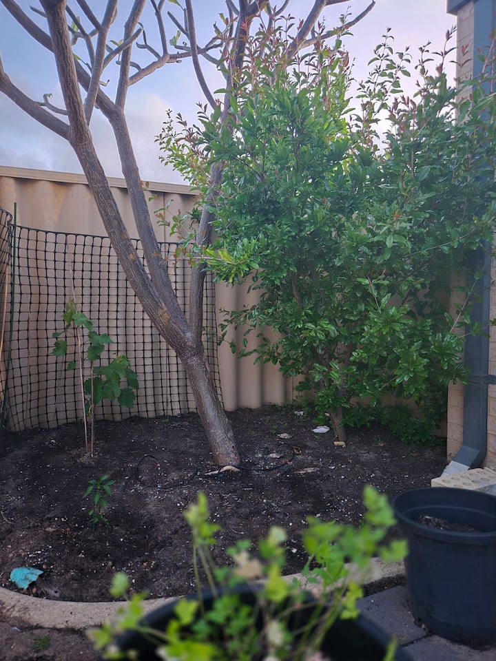 Discover A Secret Rear Unit In Dalyellup! - Bunbury