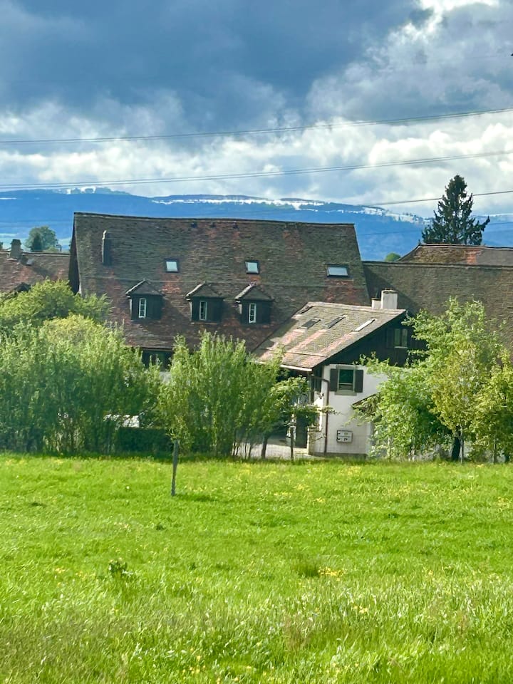 Charming Swiss Farmhouse Flat Near Lausanne - Lausanne