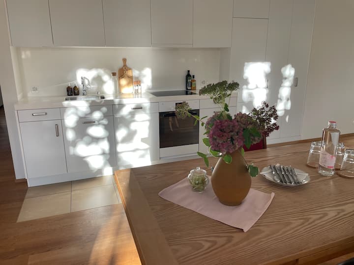 Großzügige Lichtdurchflutete Wohnung Mit Garten - Zwitserland