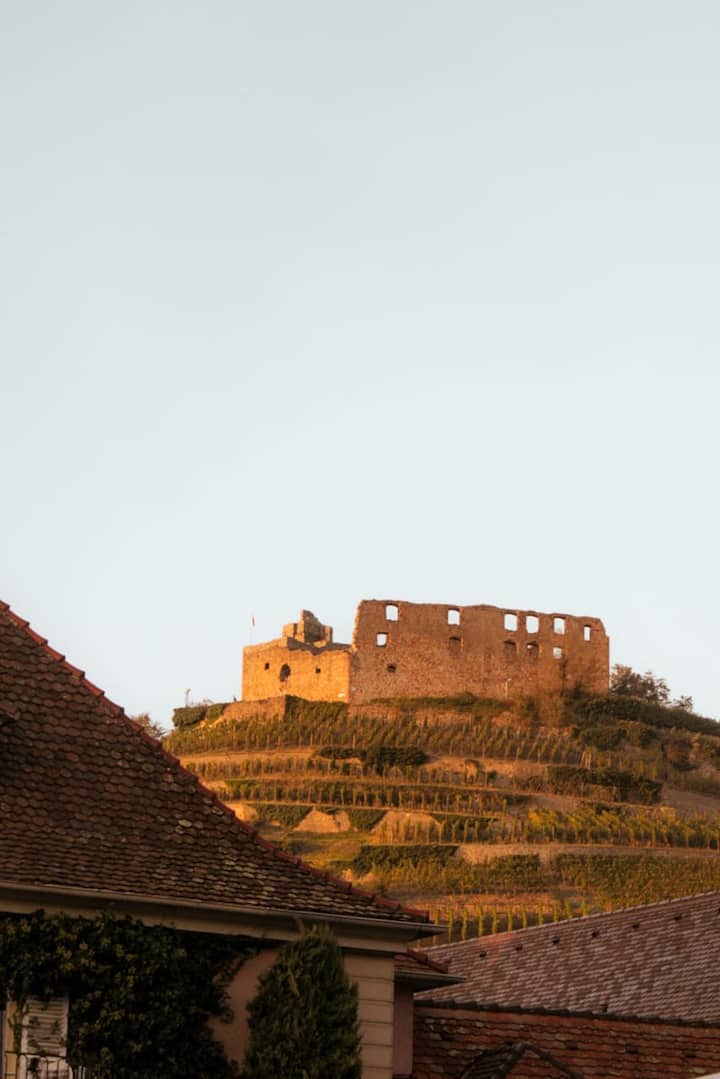 Traumhafte Ferienwohnung Mit Ausblick Auf Burg - Staufen im Breisgau