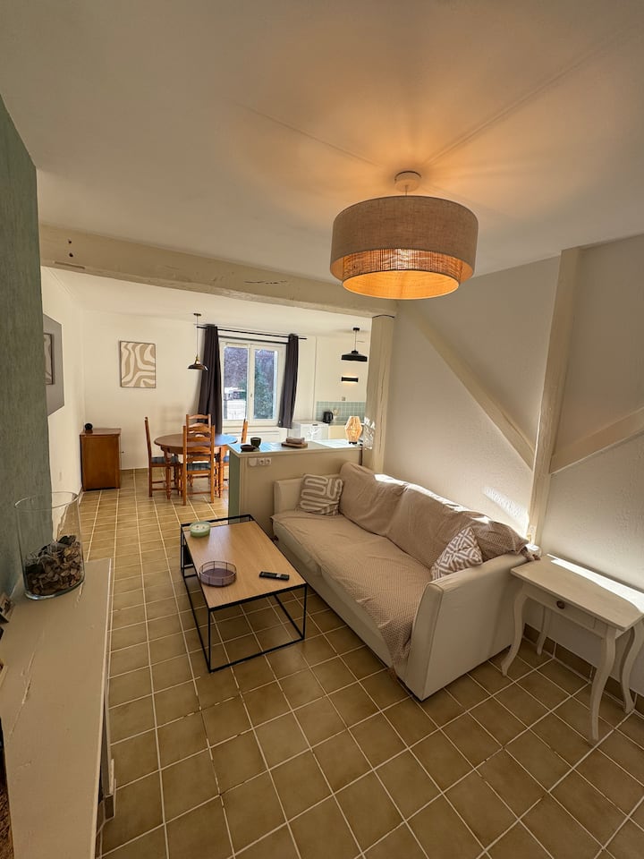 L’appart Du Coq - Proche De Beauval & Des Châteaux - Selles-sur-Cher