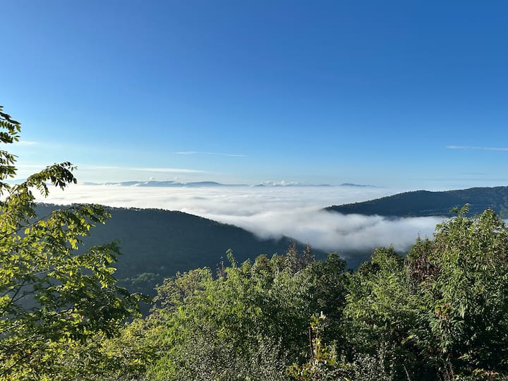 Secluded 1br/1ba Massanutten Mountain Hideout - Massanutten, VA