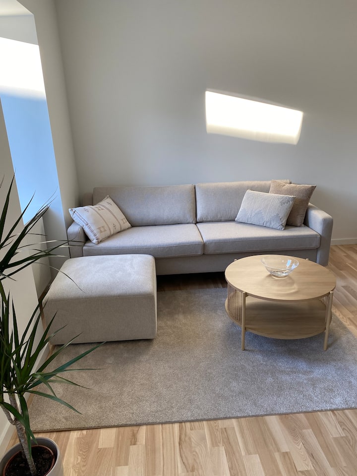 Lys Og Moderne 2ver Med Solrig Altan–midt I Odense - Odense