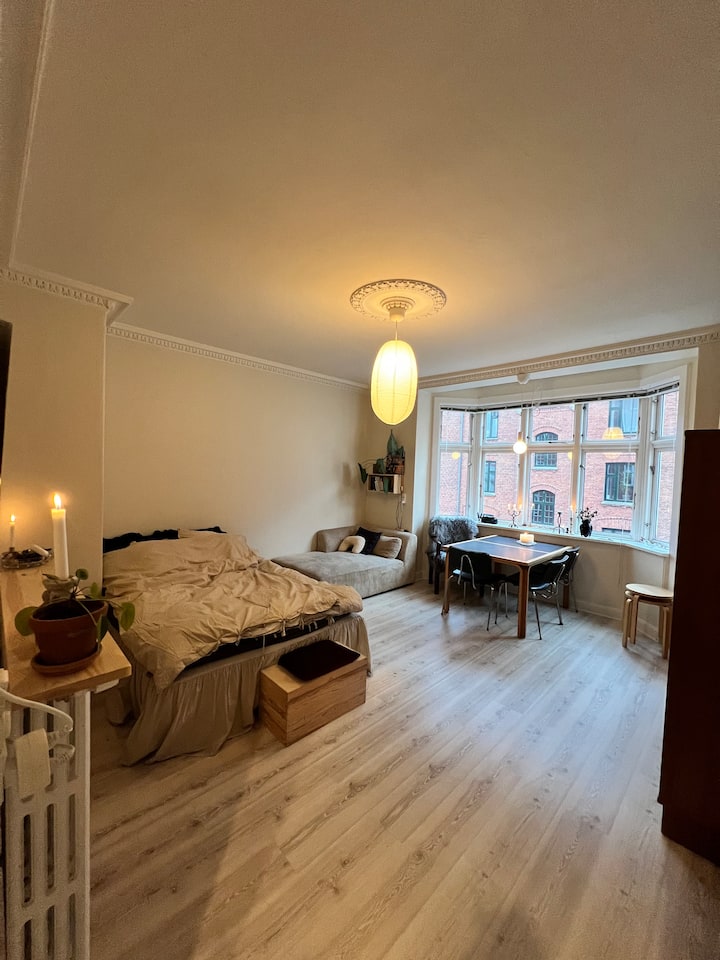 Cozy Old-school Copenhagen Style Apartment - Kopenhag