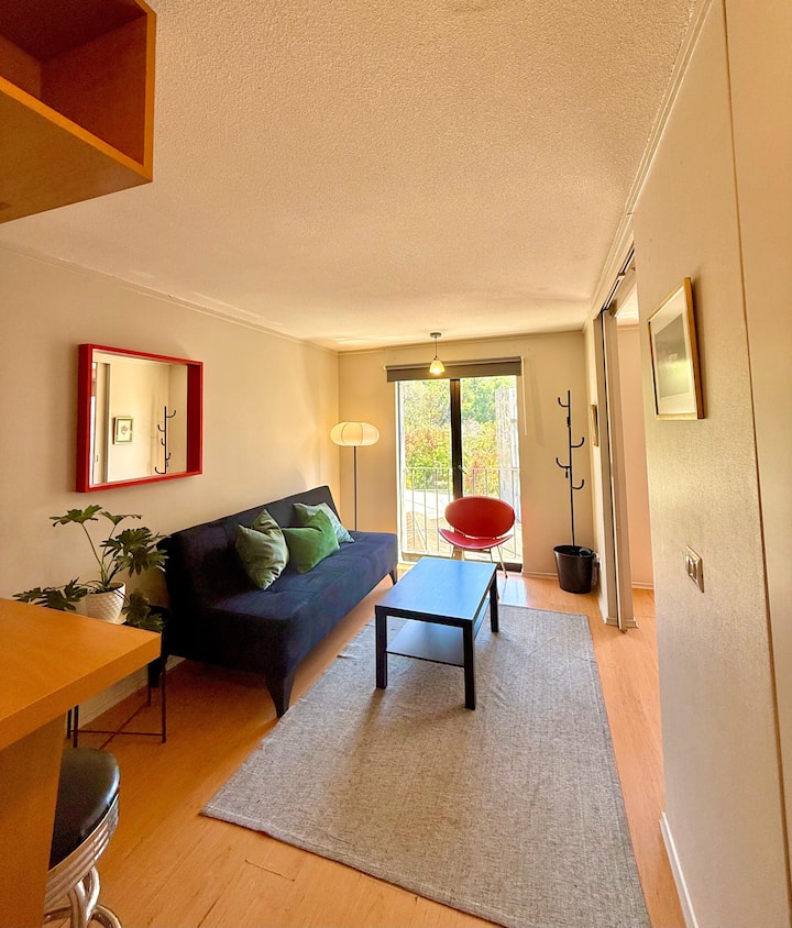 Cómodo Departamento En Barrio Lastarria - Santiago