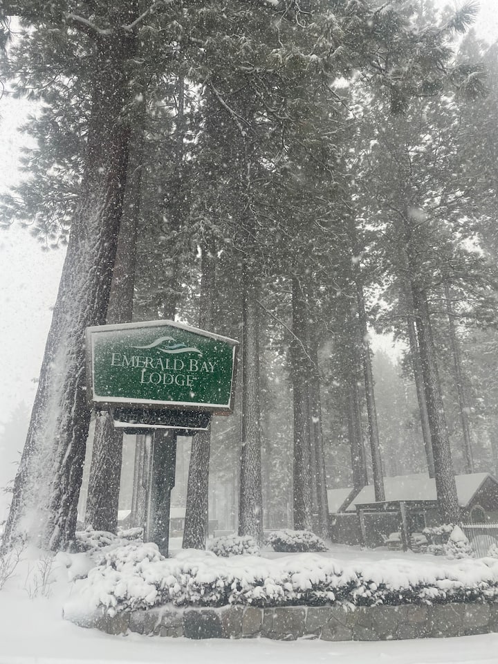 Cozy Pet Friendly Studio - Lake Tahoe