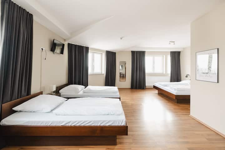 Private 5 Bed Apartment Room - Leipzig