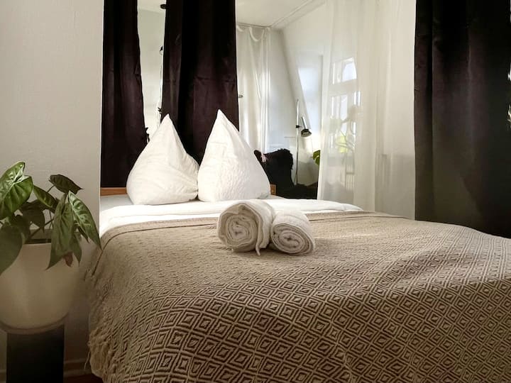 Gemütliches, Zentrales Apartment Mit Herkulesblick - Kassel