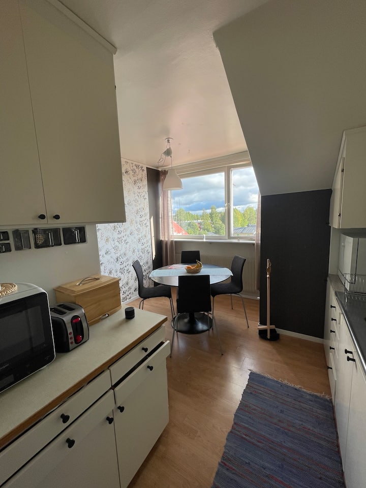 Fin Etta Nära äLven, Natur, Centrum Och Lasarett - Lycksele