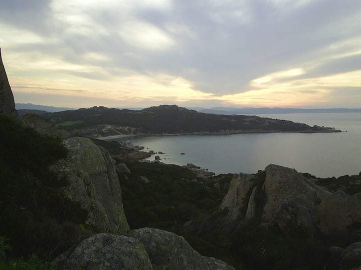 Il Nodo: Accogliente Appartamento A Palau Vecchia - Palau