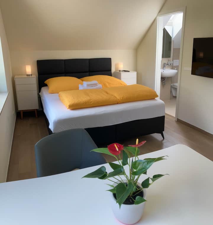 Lira Am Faberwald Ap. 4 - Nuremberg