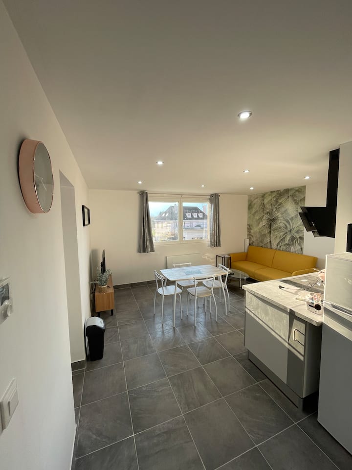 10 Minute De Dijon Proximité Du Canal 54 M2 - Longvic