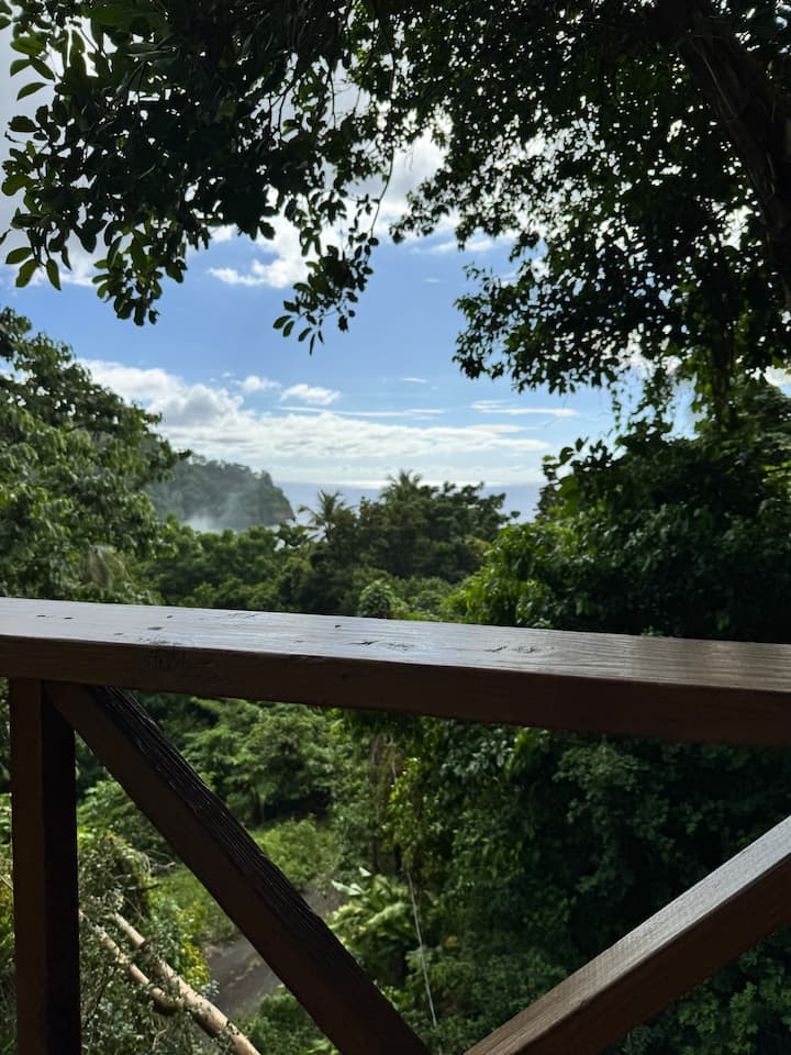 Treetops Cottage In Toucari, Dominica - Dominica