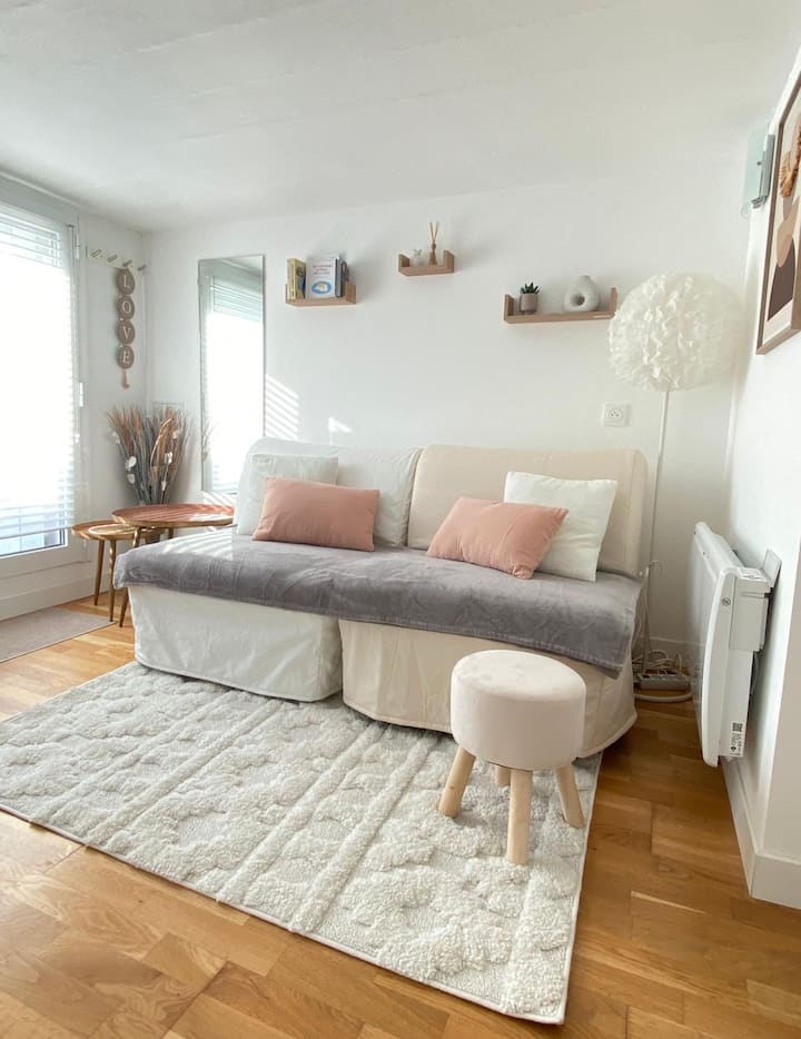 Joli Appartement Cosy Aux Portes De Paris - Saint-Maurice