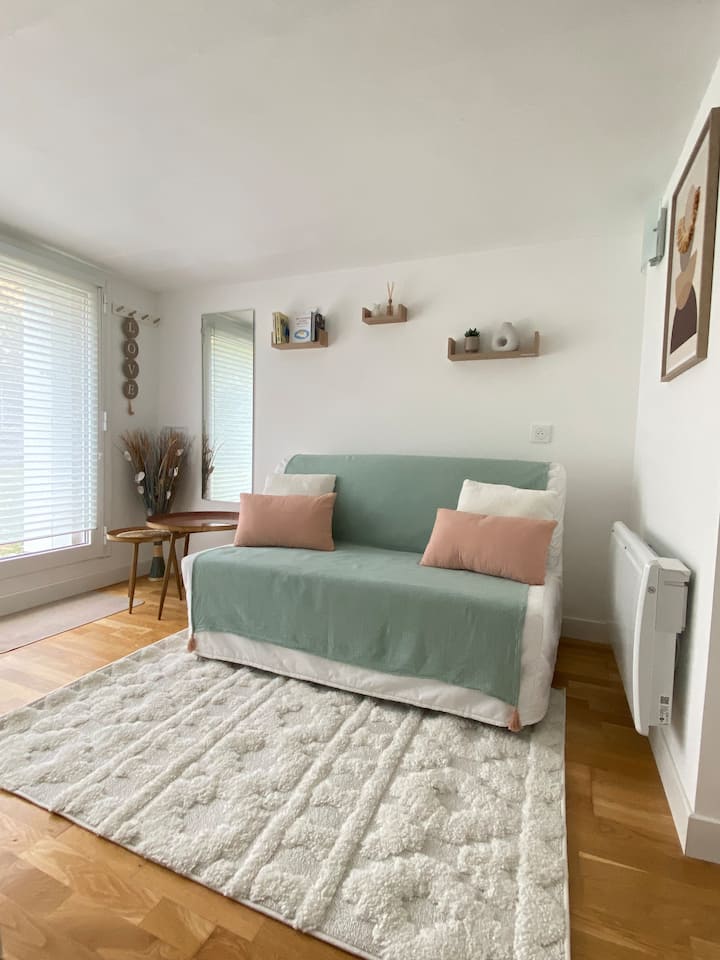 Joli Appartement Cosy Aux Portes De Paris - Saint-Maur-des-Fossés