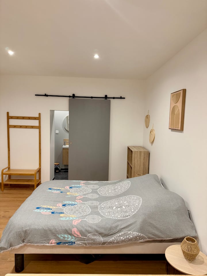 Studio Moderne Avec Terrasse - Schirmeck