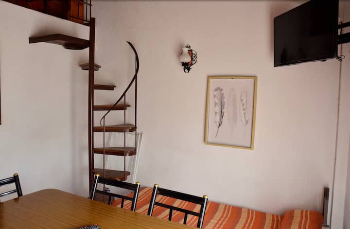 Dúplex "4 °" - Pax6 - Santa Teresita