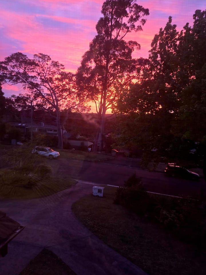 57sqm Studio In Leafy Oasis With Comfort And Charm - Gordon