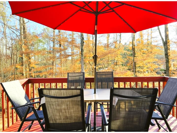 King Bed, Workspace, Games Near Rdu, Rtp, Downtown - Raleigh, NC
