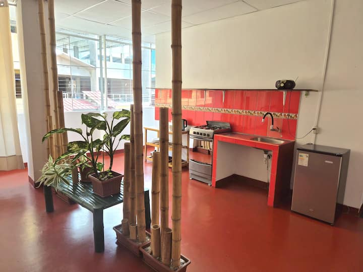 Centrico Apartamento Amoblado - San Ramón