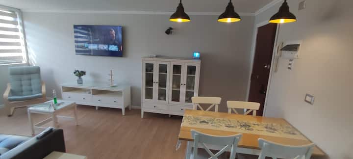 Lindo Y Comodo Departamento En Providencia - Providencia