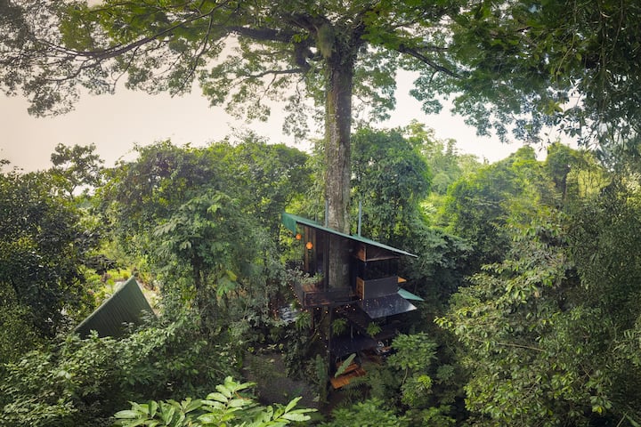 Giant Tree House - Costa Rica