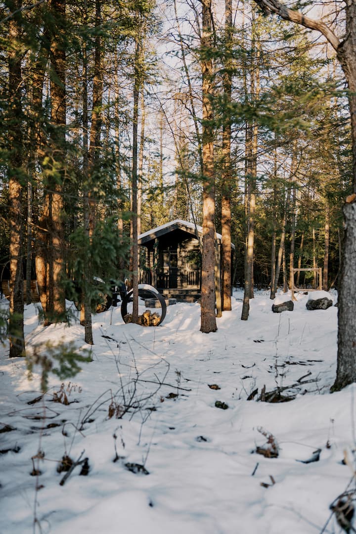 Tiny Cabin•sleeps 2•hot Tub•sauna•private•trail - Boyne City, MI