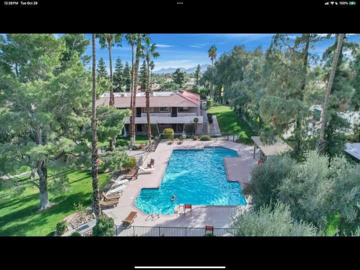Sunshine, Palm Trees, And Quiet Desert Mornings. - Palm Springs, CA