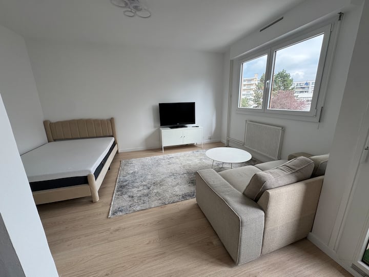 Cosy Studio Rénové - Annemasse