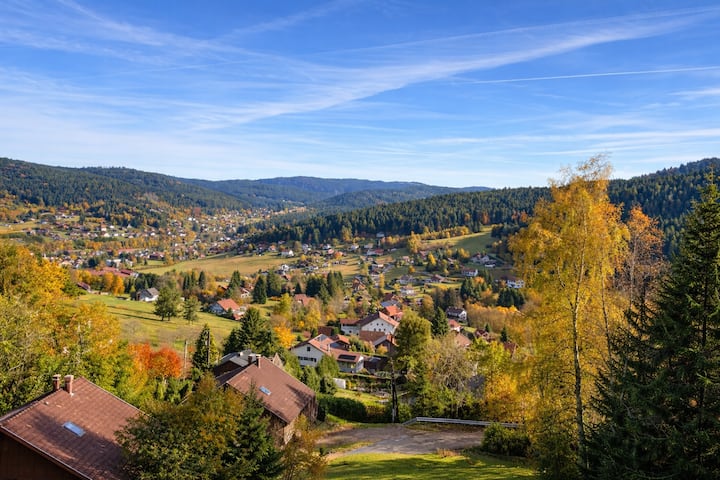 Spacieux Duplex 60 M² - 900 M Alt - 5 Km Gérardmer - La Bresse