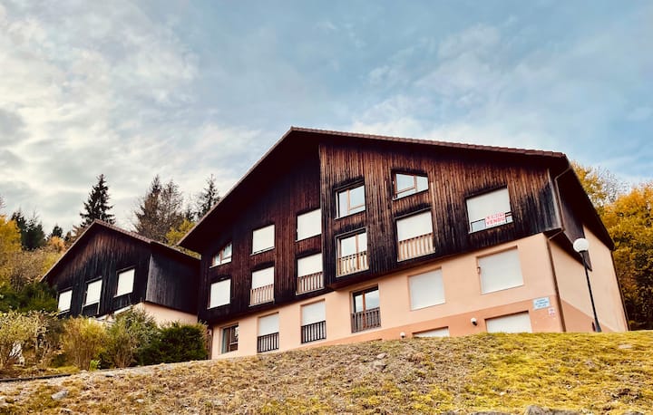 Duplex 4 Km Gérardmer - 900 M Alt - 6 Pers - 55 M² - Gérardmer