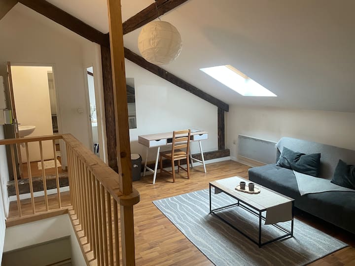 Charmant Studio Tout éQuipé Au Cœur De Nancy - Nancy