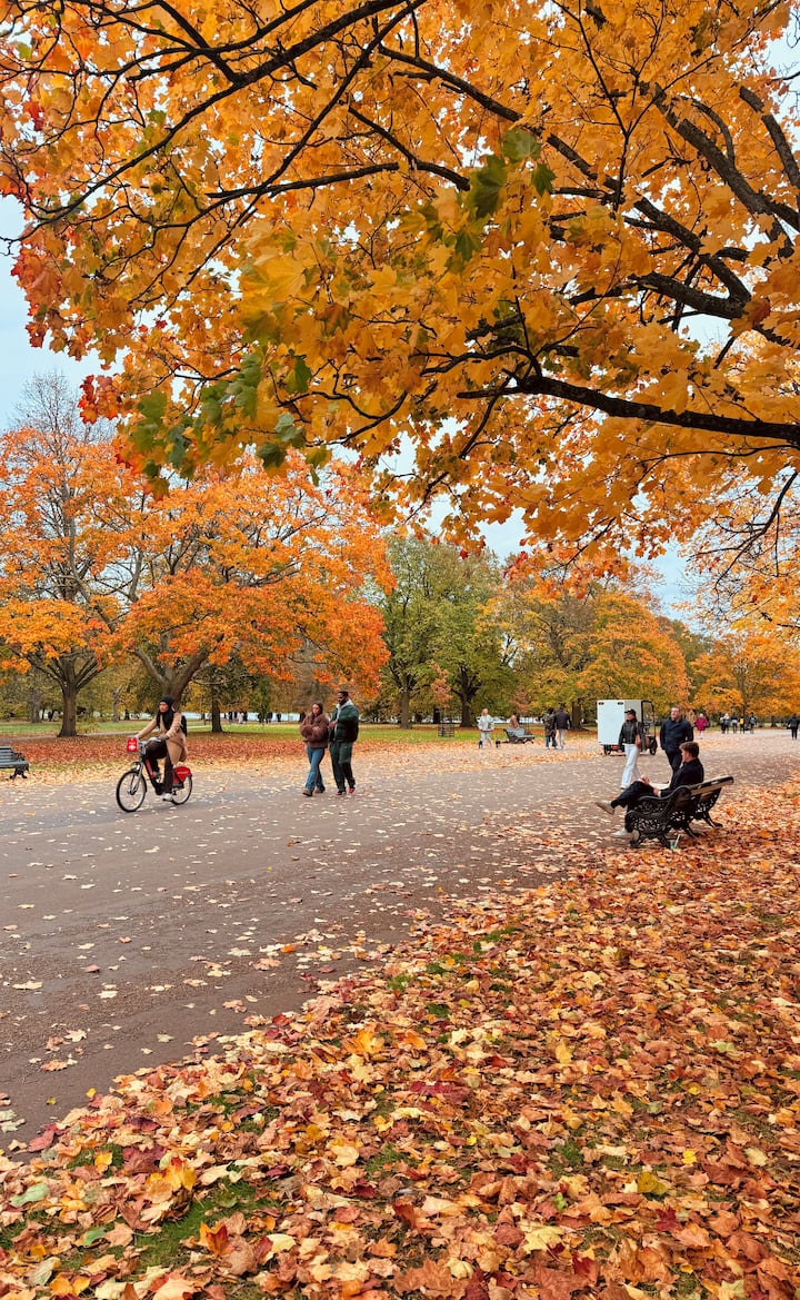 New! Sunny Sanctuary, Steps To Notting Hill - Notting Hill