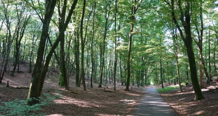 Under Construction 01/26 1 Bedroom Appartment - Solingen