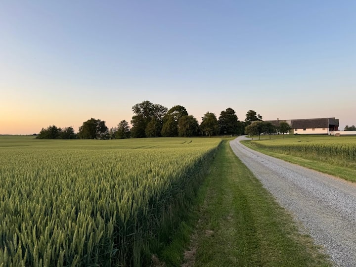 Välkommen Till Vårt Mysiga Gästhus På Landet! - Malmö