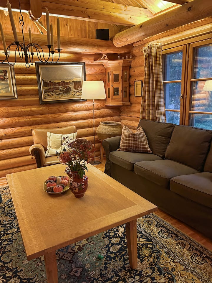 Tilava Ski-in/out -Mökki Huipulla | Oma Poreallas - Jyväskylä